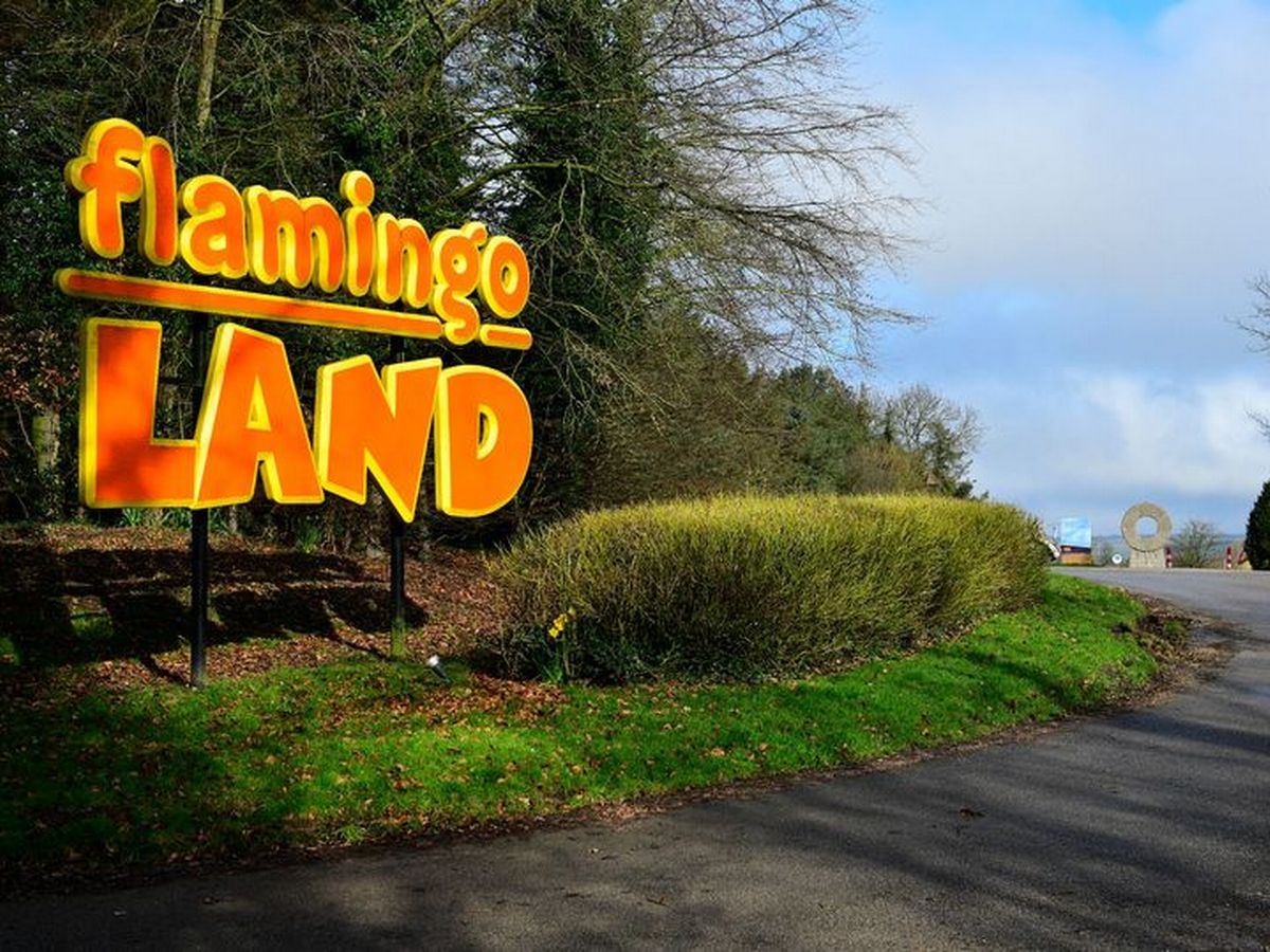 Flamingo Land Visitor’s Guide: Best Rides, Zoo Highlights & Travel Tips