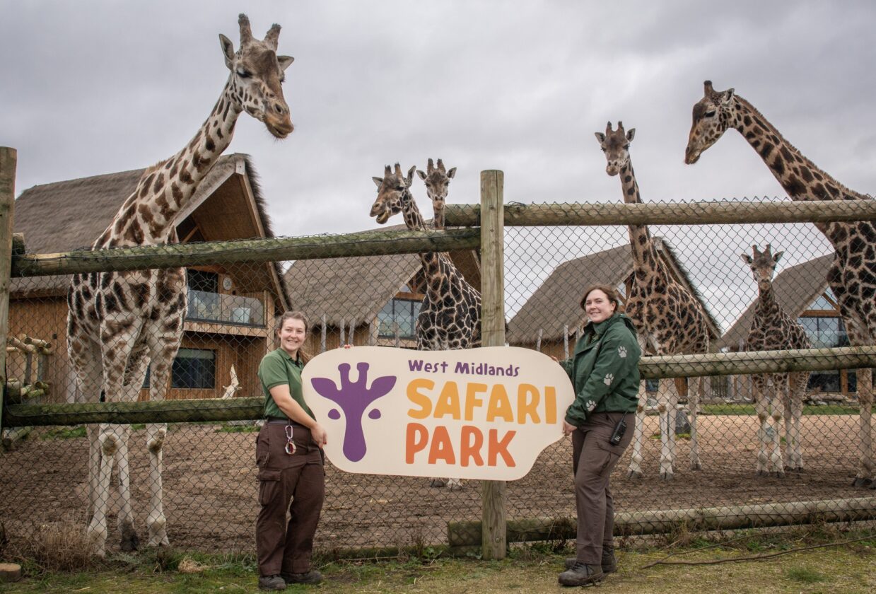 Westmidland Safari Park Announce NEW LOGO and CHANGES Across the Park ...