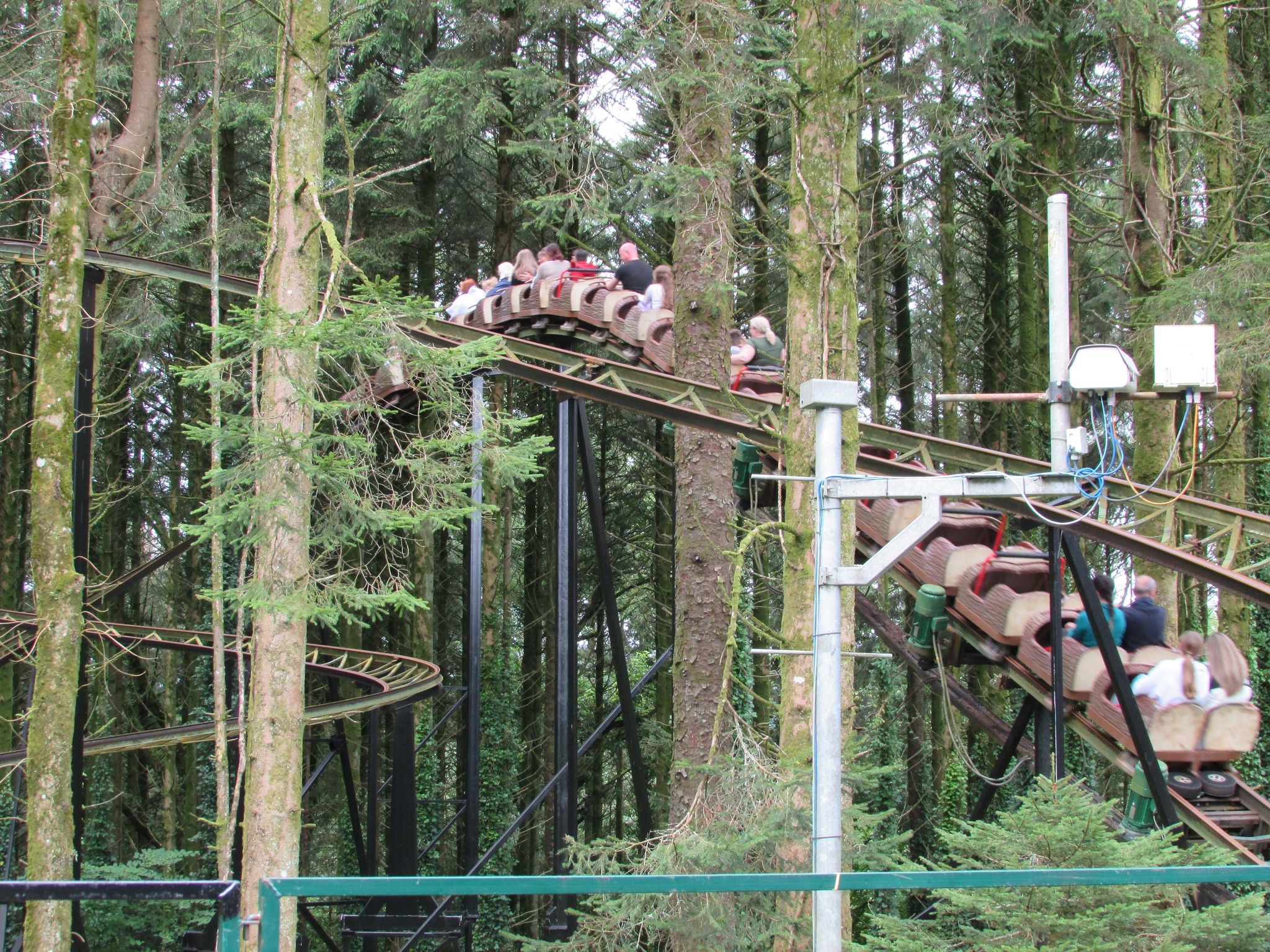 In Pictures: Treetops at Oakwood