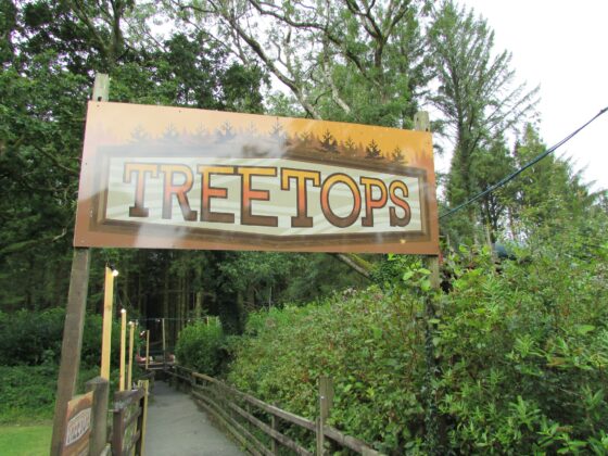 In Pictures: Treetops at Oakwood