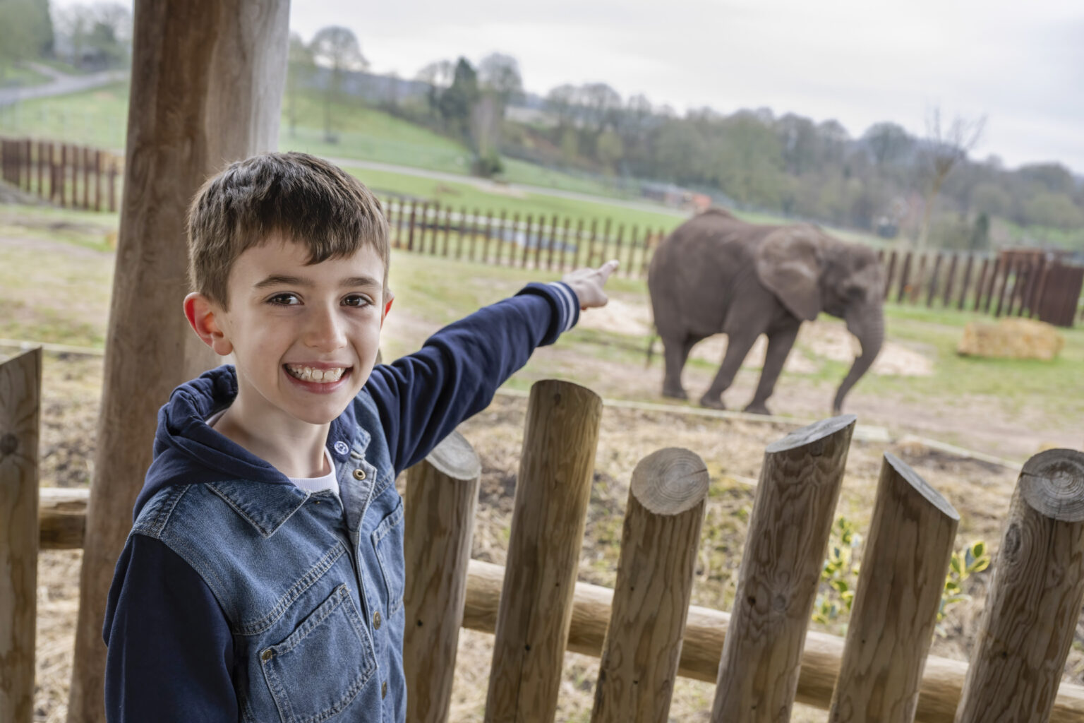 Exciting Meet and Greet with TV Characters at West Midlands Safari Park
