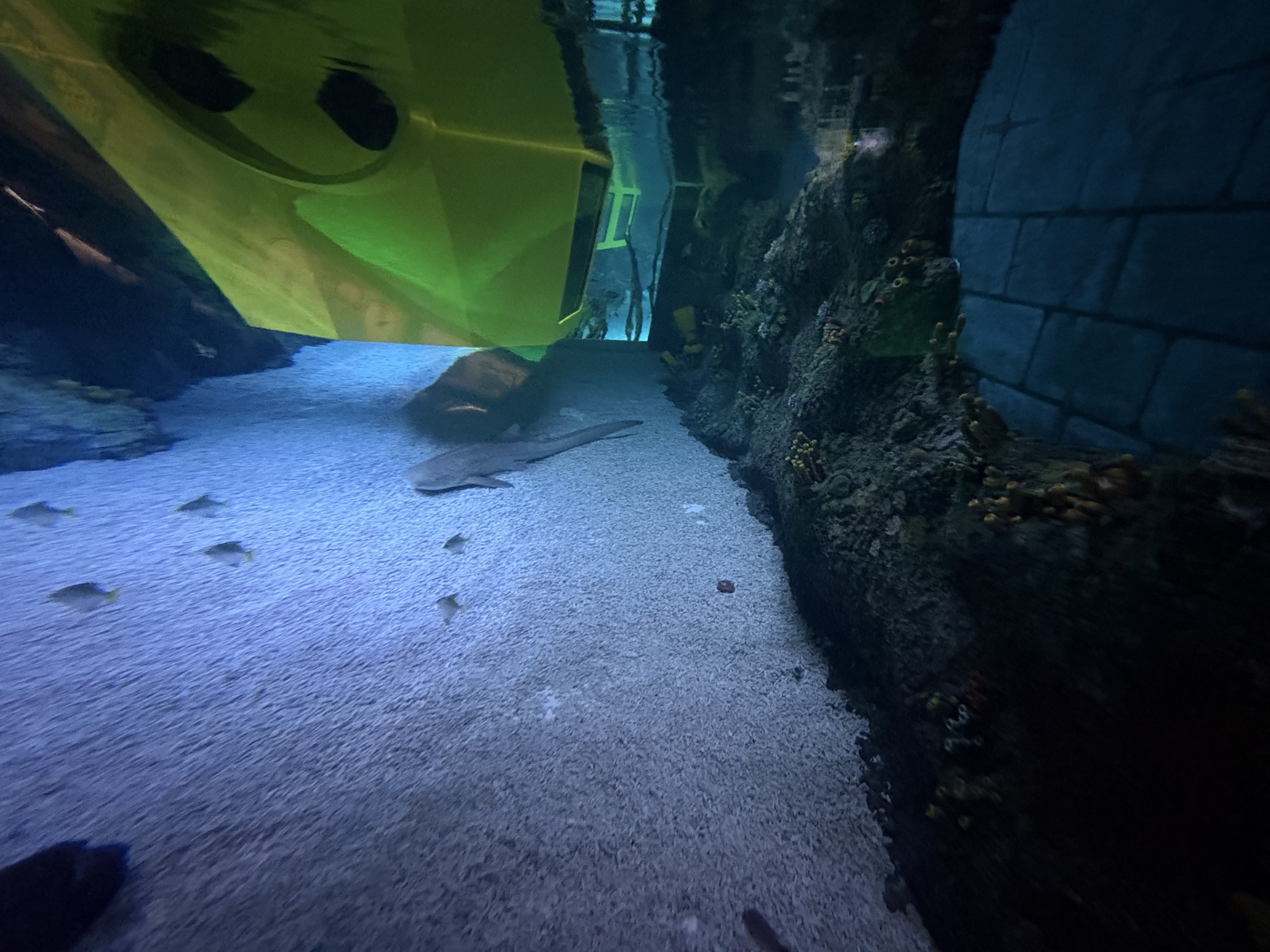 Stunning Pictures of LEGO® City Deep Sea Adventure at Legoland Windsor