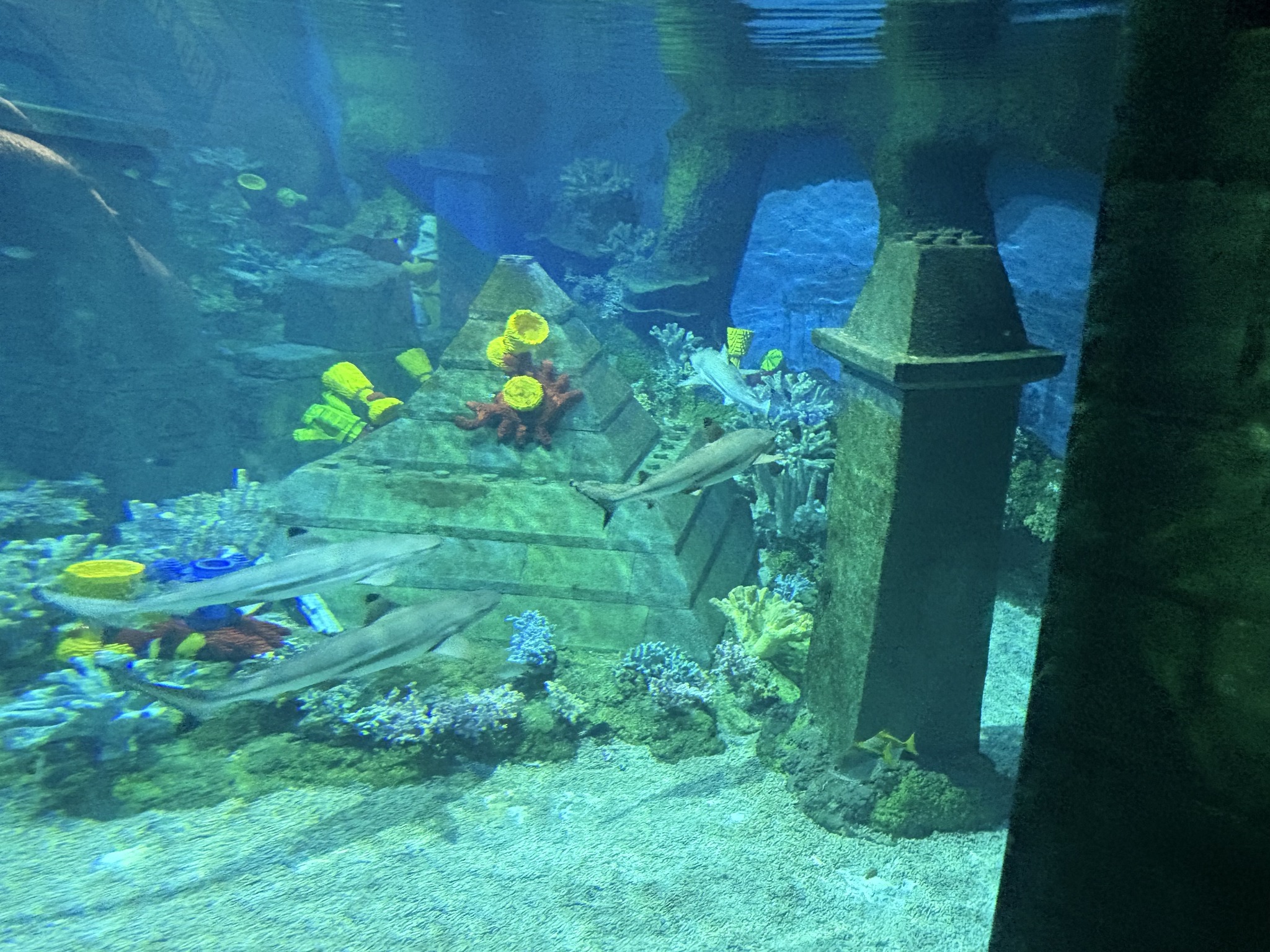 Stunning Pictures of LEGO® City Deep Sea Adventure at Legoland Windsor