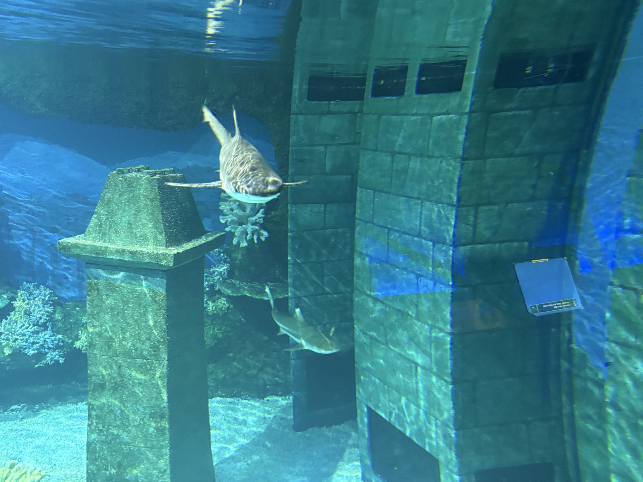 Stunning Pictures of LEGO® City Deep Sea Adventure at Legoland Windsor