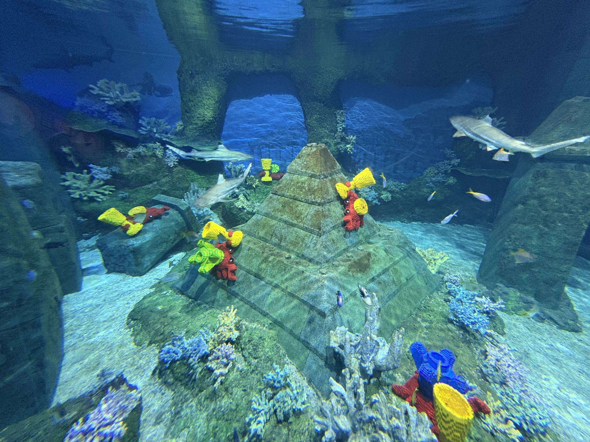 Stunning Pictures of LEGO® City Deep Sea Adventure at Legoland Windsor