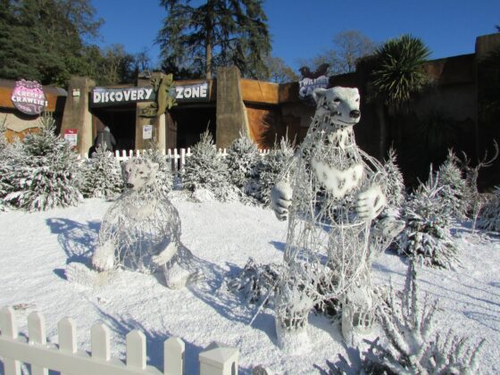 10 Festive Pictures of Santa Safari at West Midlands Safari Park