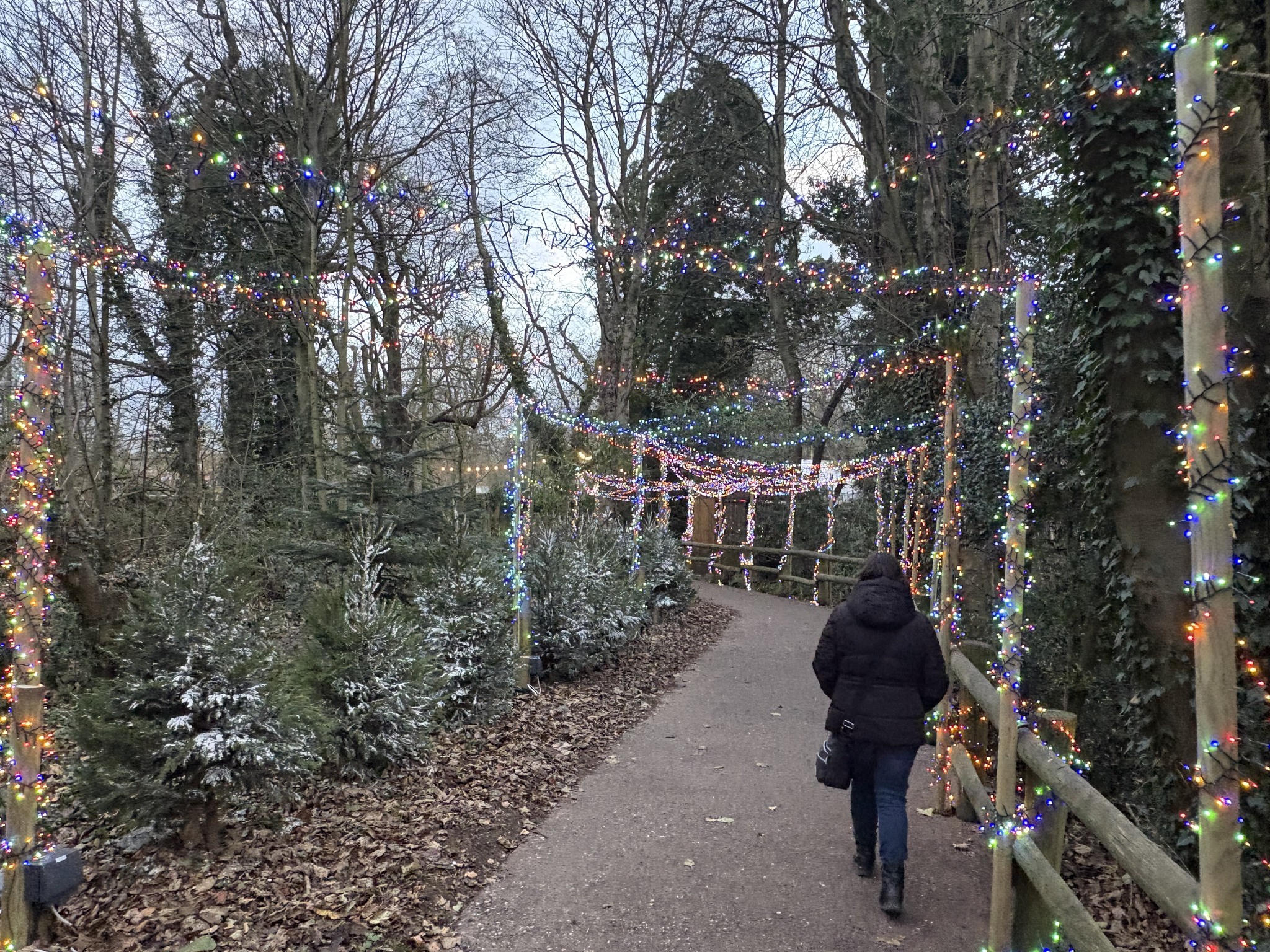 Drayton Manor at Christmas 2025: 10 Magical Festive Photos