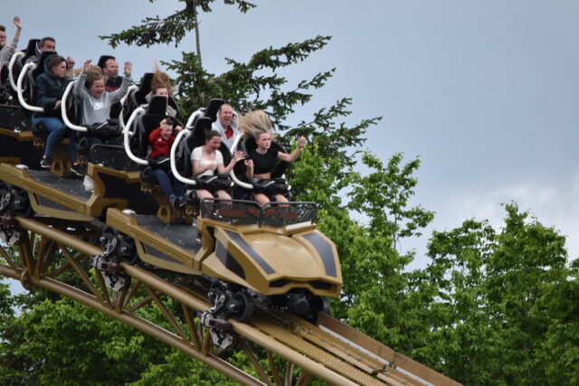 What Forces Do You Feel on a Roller Coaster?
