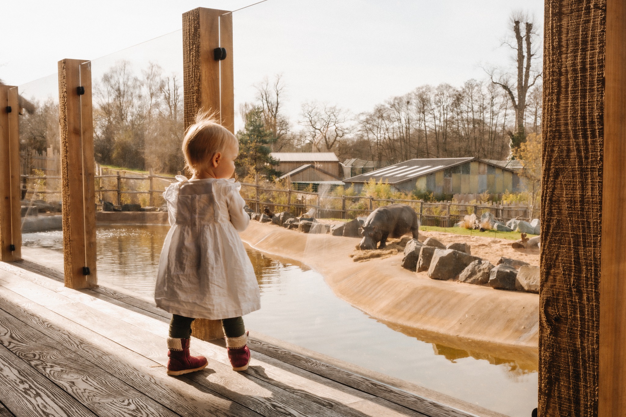 Best UK Theme Park Staycations for May Half Term 2026