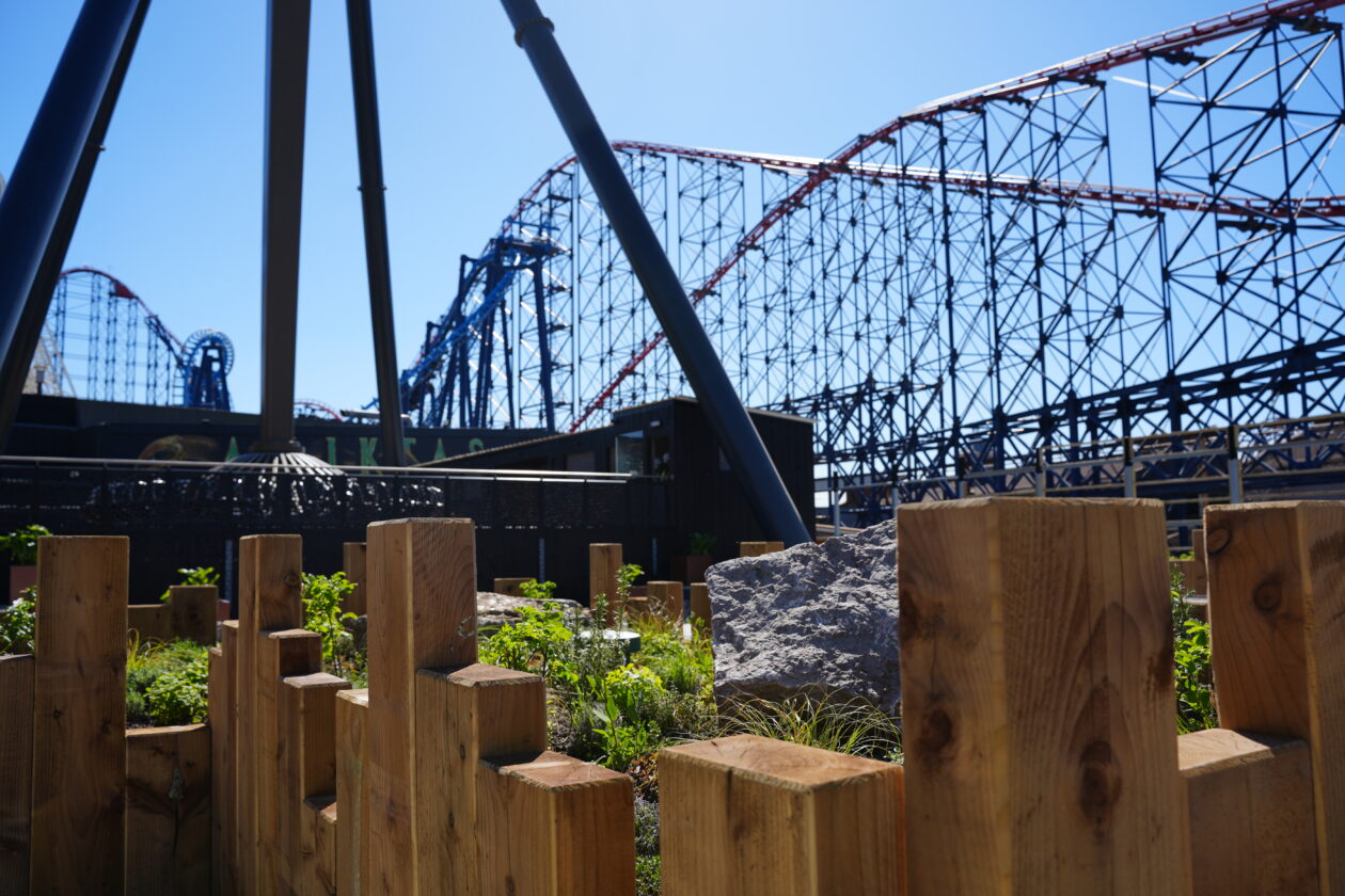 The Ultimate Guide to UK Theme Parks for Father’s Day 2026