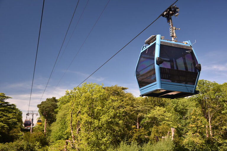 What’s Happening at UK Theme Parks This Week (Week of 8 June 2026)